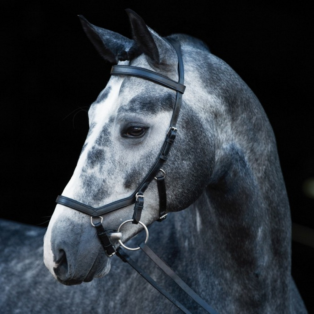 Rambo Micklem Deluxe Comp Bridle English Leather | S. Milner & Son Saddlers